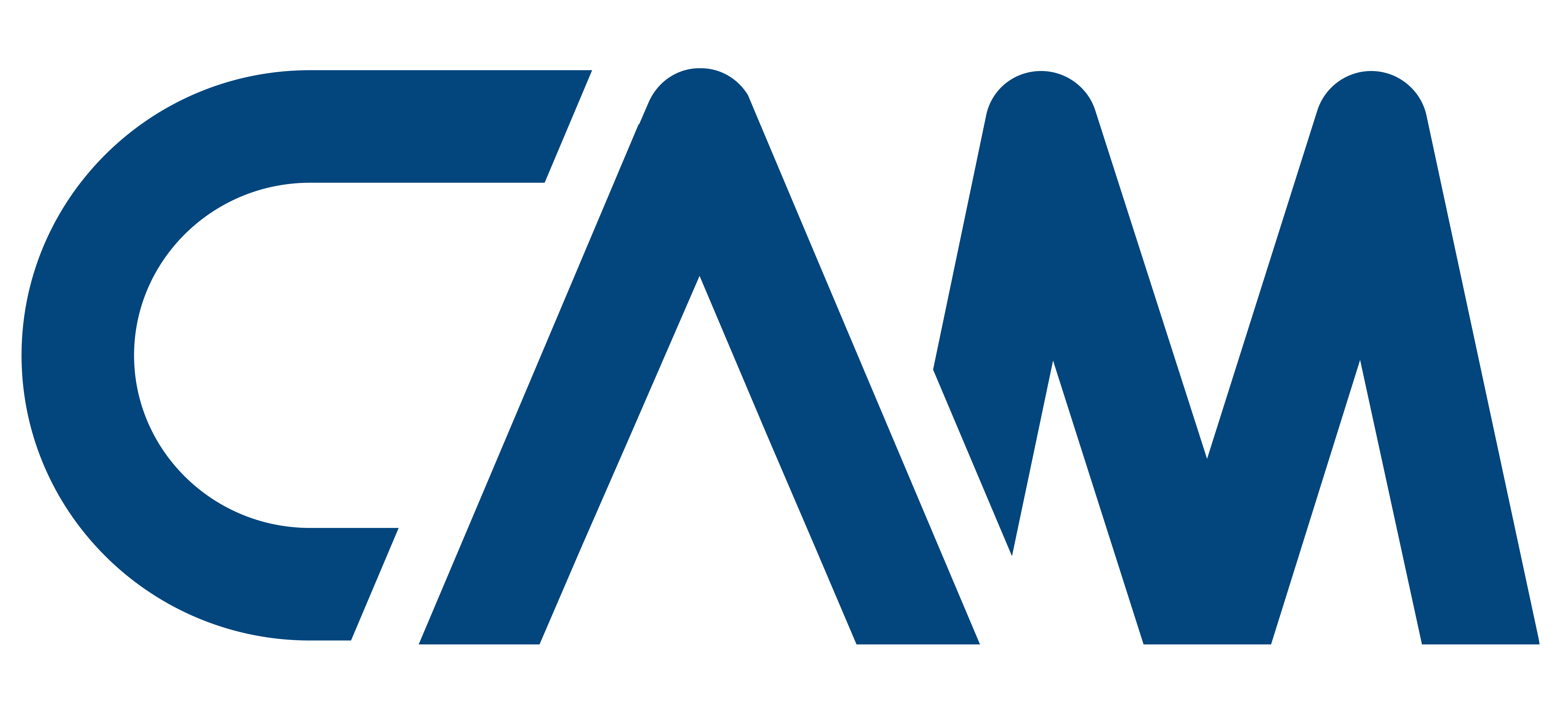 CAM Multi-Strat Asset Management’s investor portal